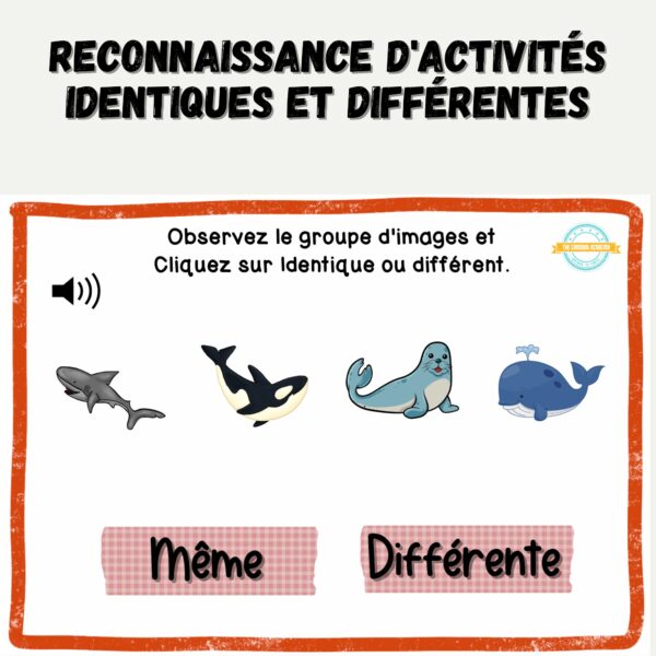 Reconnaissance d'activités identiques et différentes French Boom Cards ...