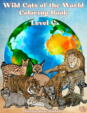 Get to Know the Wampanoag Coloring Book-Level B | Made By Teachers