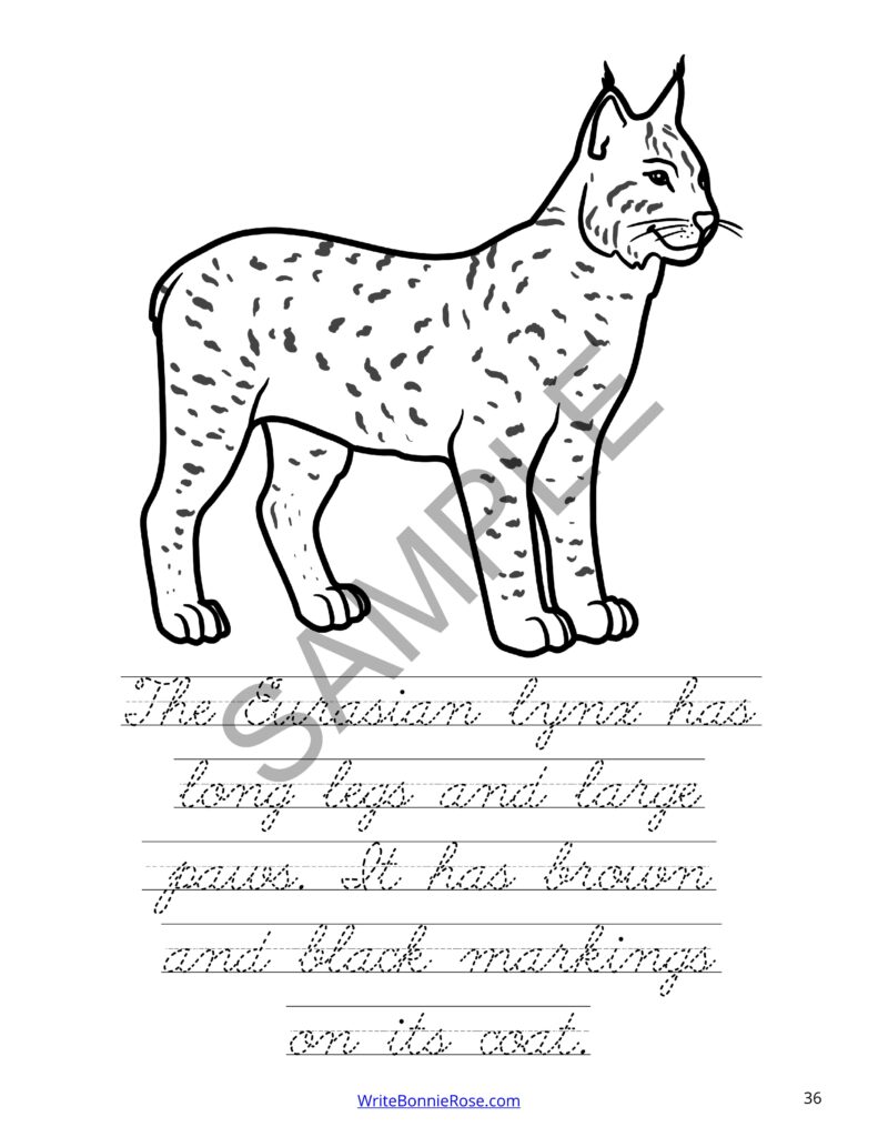 Wild Cats of the World Coloring Book, Level C | Made By Teachers
