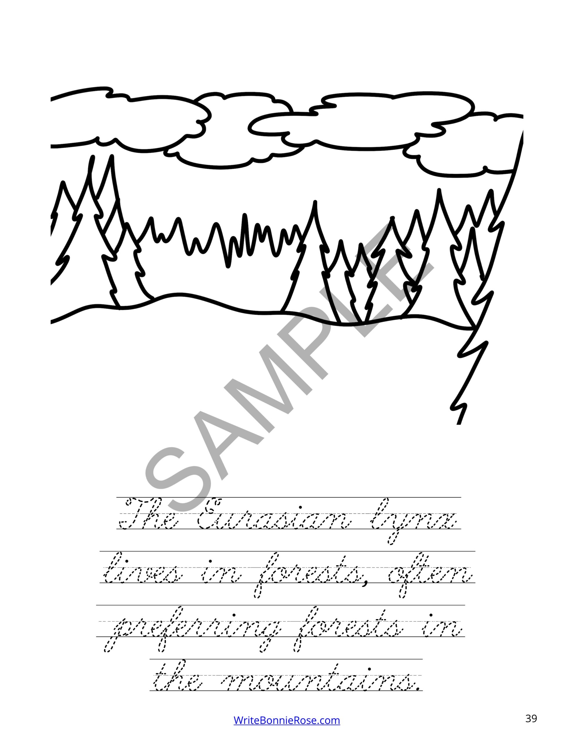 Wild Cats of the World Coloring Book, Level C | Made By Teachers