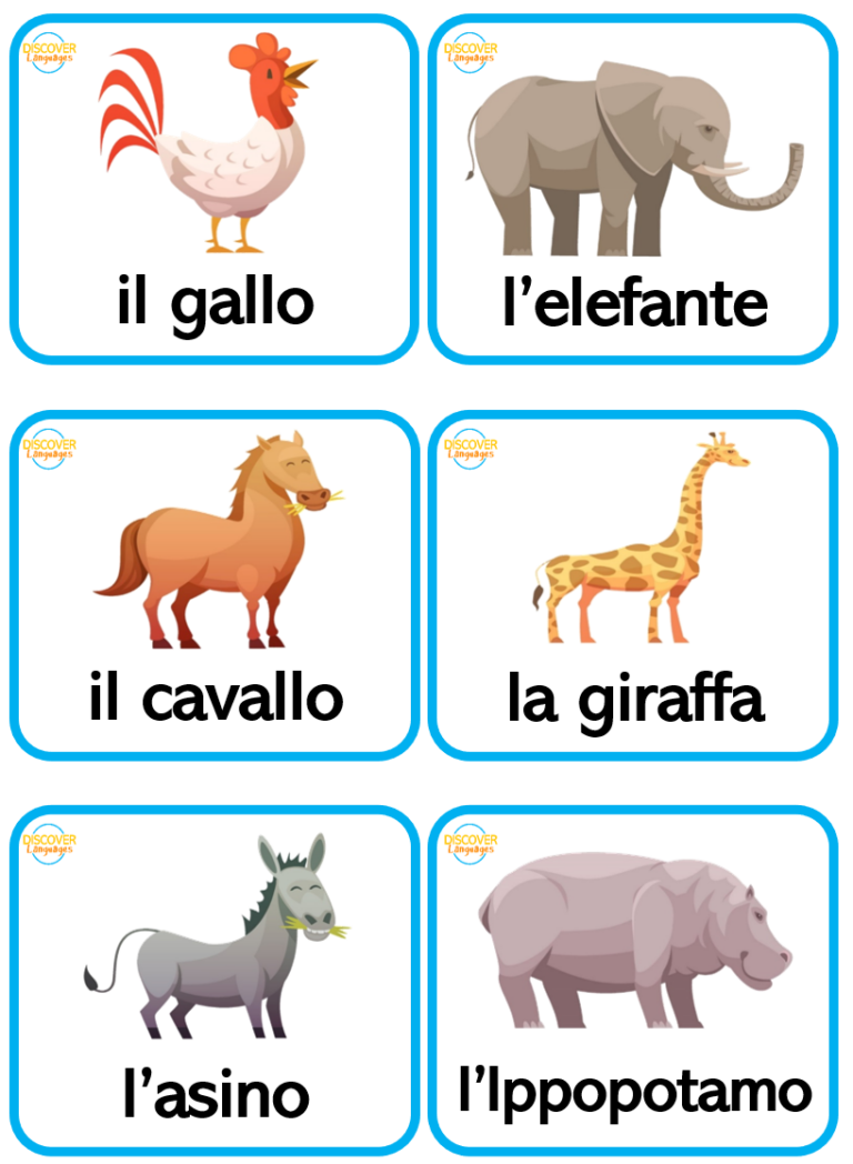 Beginner Italian Flash Cards Farm & Zoo Animals - Animali | Made By ...