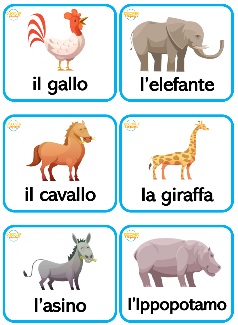 Beginner Italian Flash Cards Farm & Zoo Animals - Animali | Made By ...