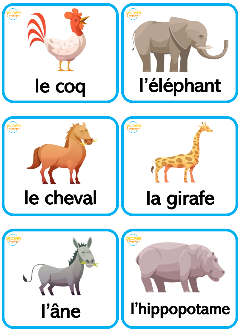 French Flash Cards Farm & Zoo Animals - Animaux | Made By Teachers