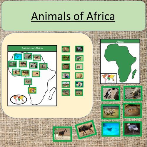 Continent of Africa Animals Activities Montessori Preschool | Made By ...