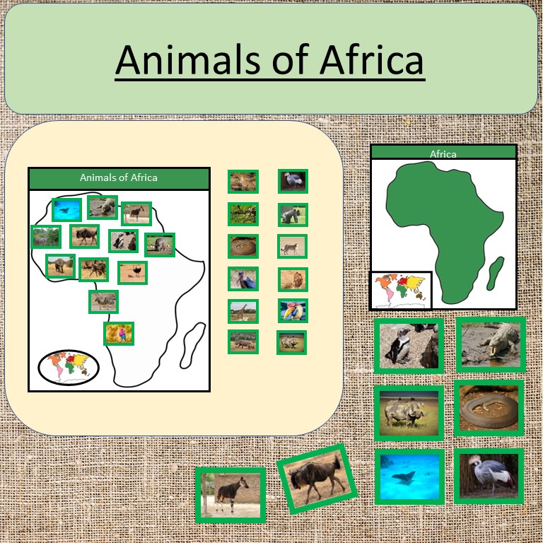 Continent of Africa Animals Activities Montessori Preschool | Made By ...