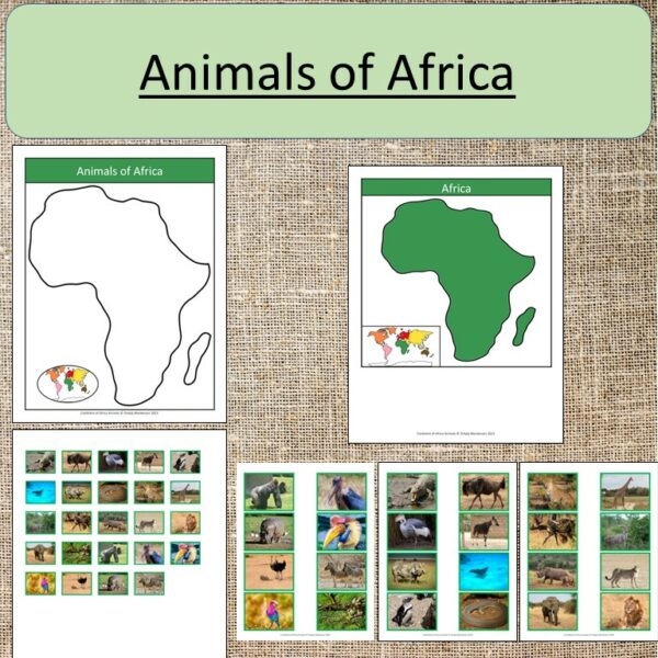 Continent of Africa Animals Activities Montessori Preschool | Made By ...