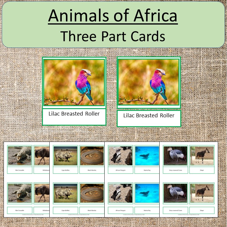 Continent of Africa Animals Activities Montessori Preschool | Made By ...