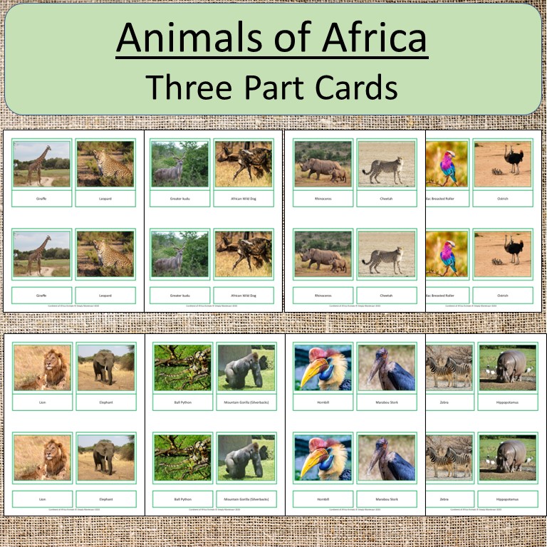 Continent of Africa Animals Activities Montessori Preschool | Made By ...