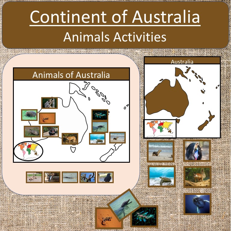 Continent of Australia Animals Activities Montessori Preschool ...
