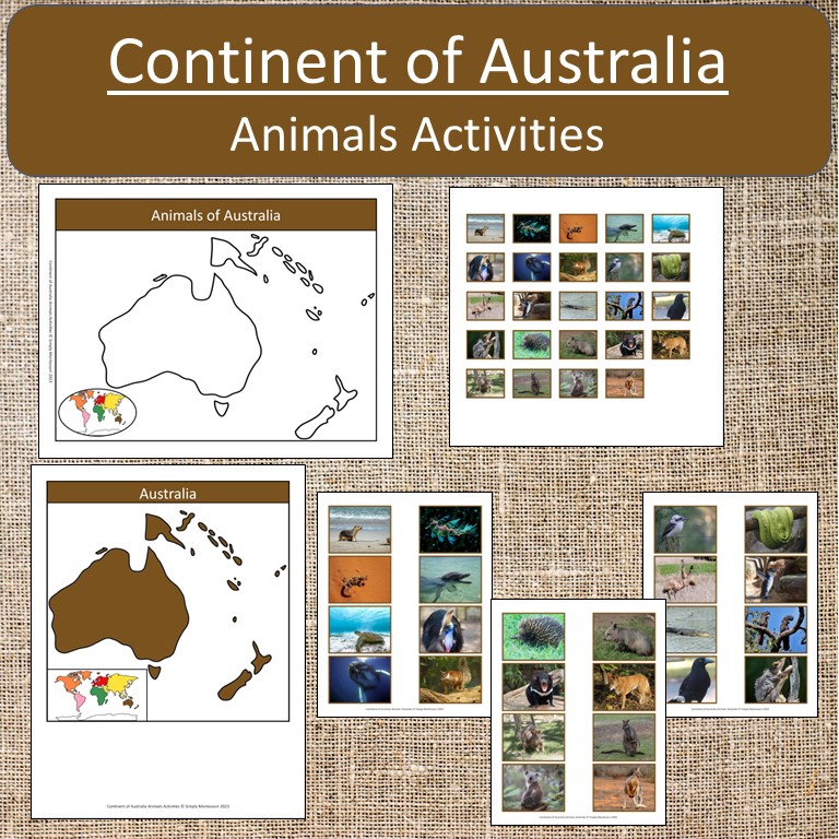 Continent of Australia Animals Activities Montessori Preschool ...
