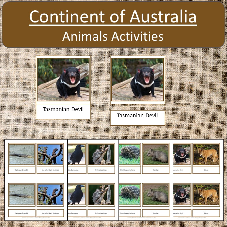 Continent of Australia Animals Activities Montessori Preschool ...