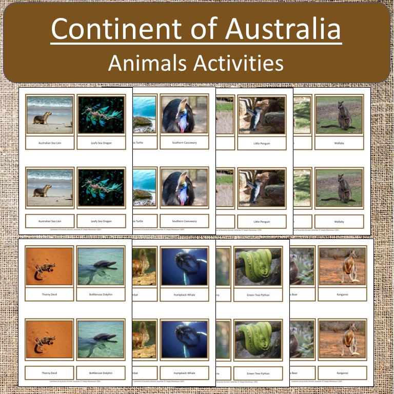 Continent of Australia Animals Activities Montessori Preschool ...