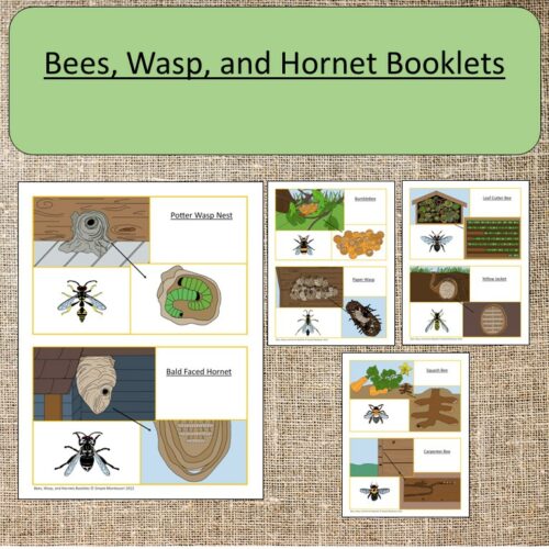 Bee, Wasp, and Hornet Habitat Booklets Montessori Homeschool Preschool ...