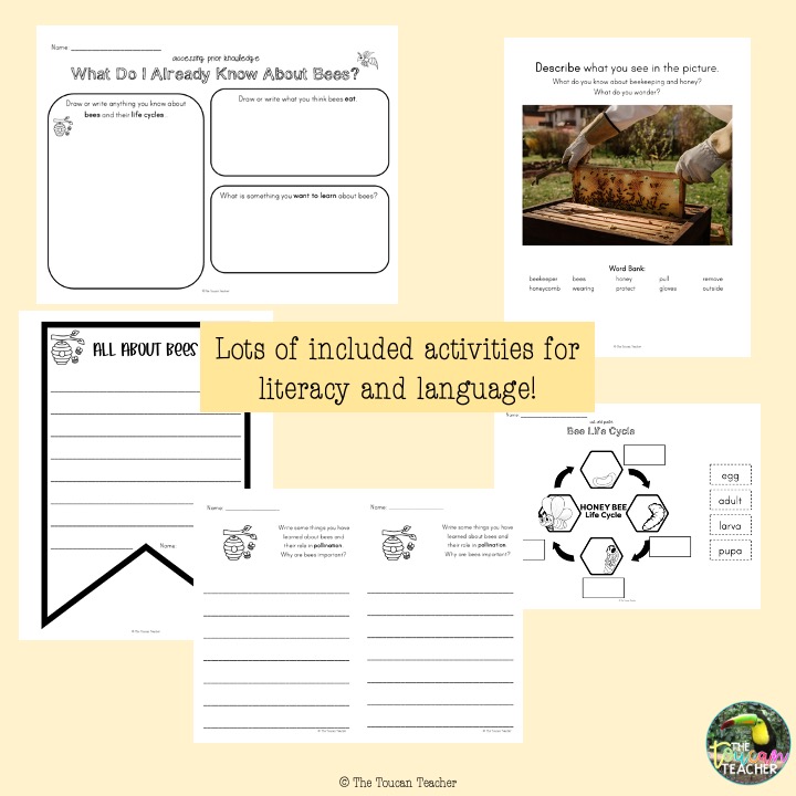 All About Bees mini unit and book | Made By Teachers