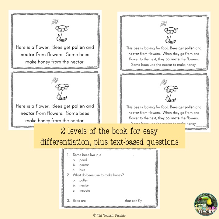 All About Bees mini unit and book | Made By Teachers