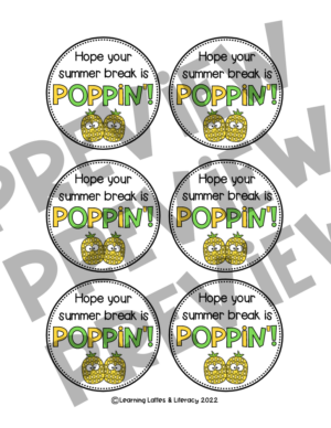 Poppin Summer Gift Tags End of Year Pop-it Fidget Popcorn Popsicle ...