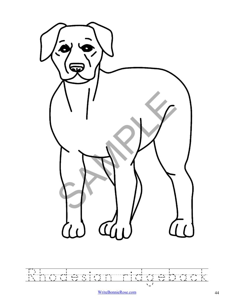Learning About Dog Breeds Coloring Book - Level A | Made By Teachers