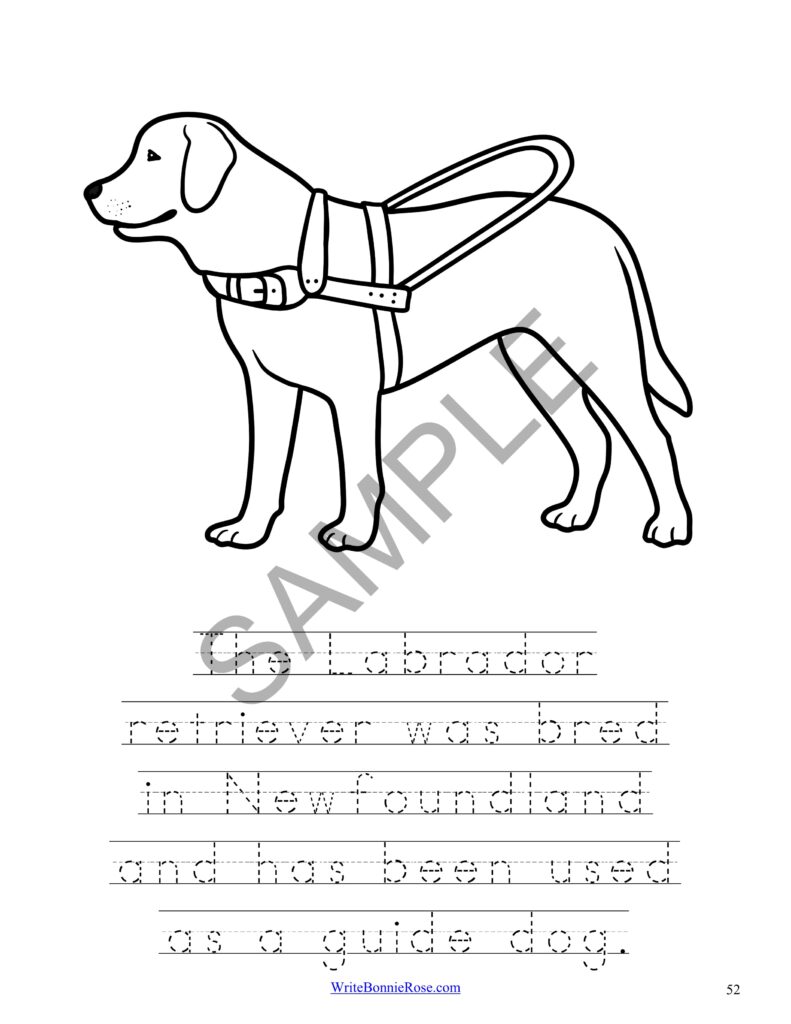 Learning About Dog Breeds Coloring Book - Level B | Made By Teachers