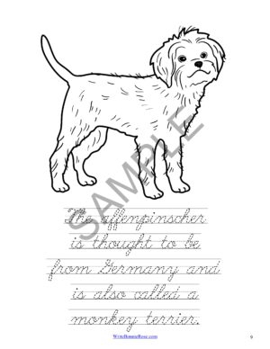 Learning About Dog Breeds Coloring Book - Level C | Made By Teachers
