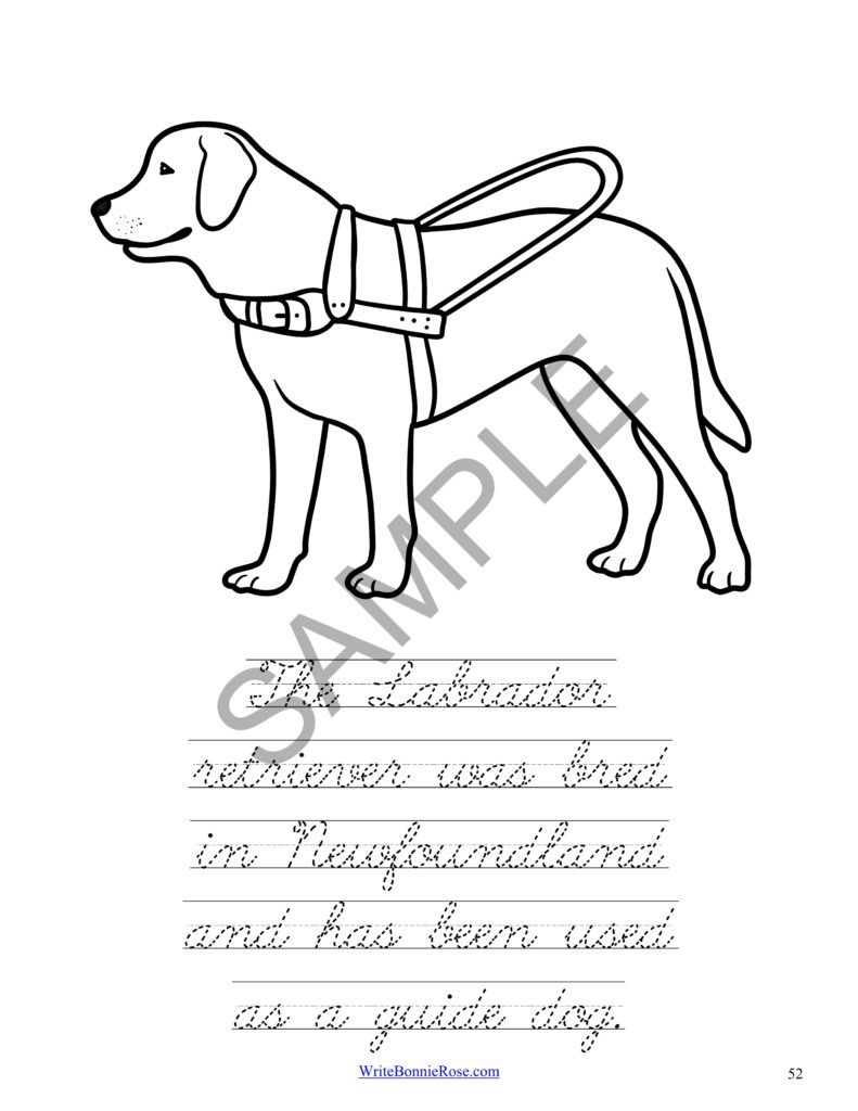 Learning About Dog Breeds Coloring Book - Level C | Made By Teachers