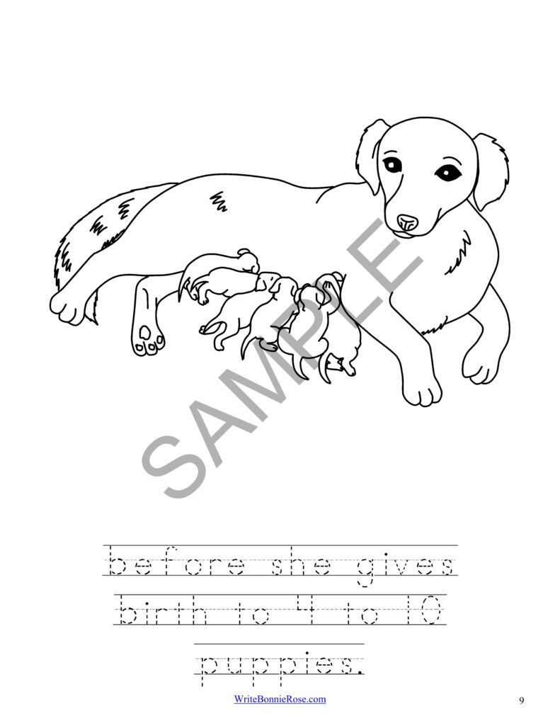Learning About Dogs Coloring Book - Level B | Made By Teachers