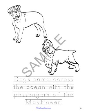 Learning About Dogs Coloring Book - Level B | Made By Teachers