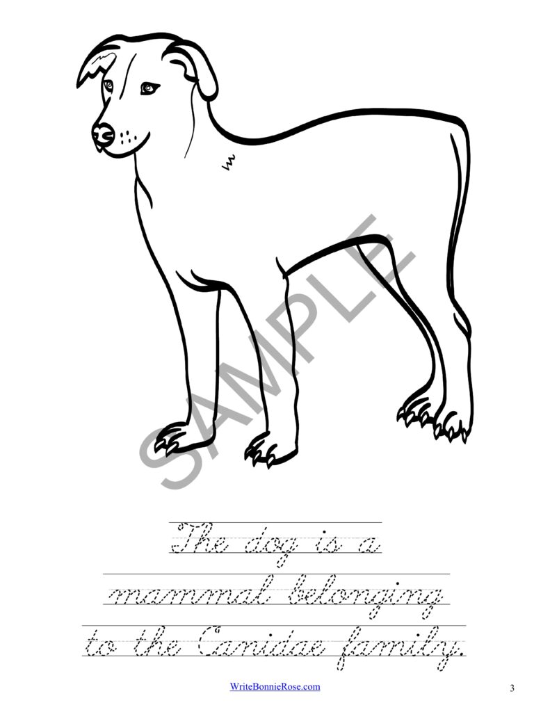 Learning About Dogs Coloring Book - Level C | Made By Teachers