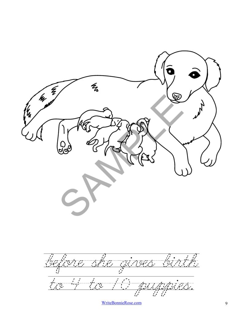 Learning About Dogs Coloring Book - Level C | Made By Teachers