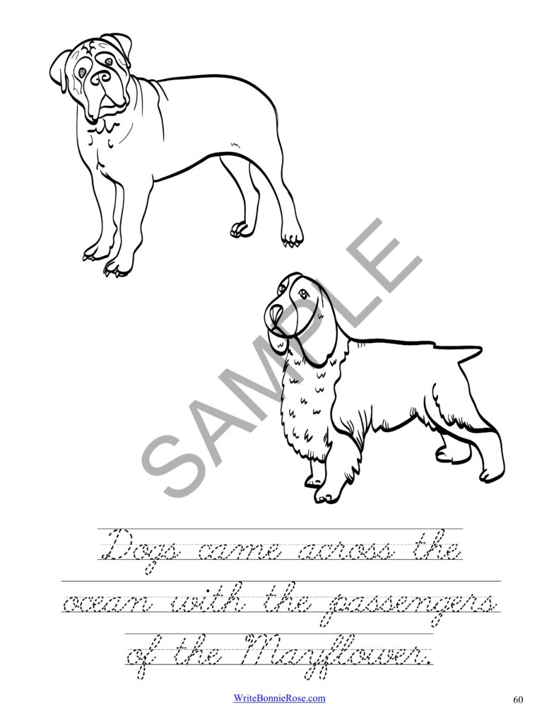 Learning About Dogs Coloring Book - Level C | Made By Teachers