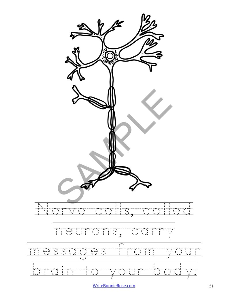 Questions & Answers Coloring Book About Science: Body Systems-Level B ...