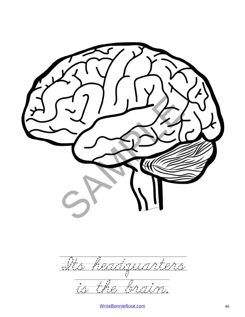 Questions & Answers Coloring Book About Science: Body Systems-Level C ...