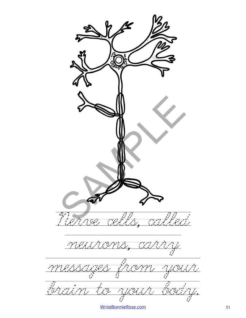 Questions & Answers Coloring Book About Science: Body Systems-Level C ...