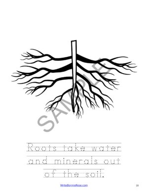 Questions & Answers Coloring Book About Science: Plants-Level B | Made ...