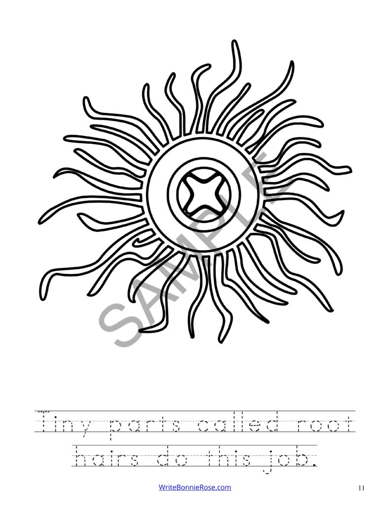 Questions & Answers Coloring Book About Science: Plants-Level B | Made ...