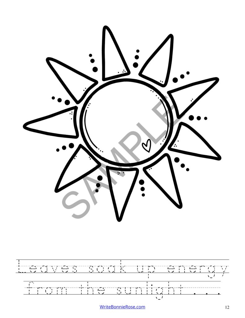 Questions & Answers Coloring Book About Science: Plants-Level B | Made ...