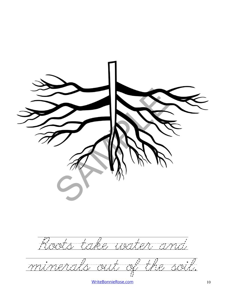 Questions & Answers Coloring Book About Science: Plants-Level C | Made ...