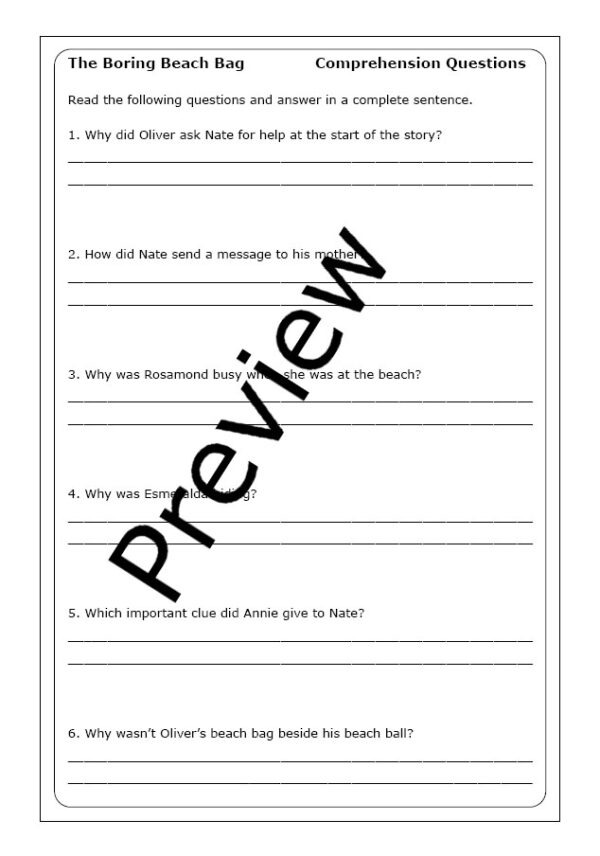 "Nate the Great and the Boring Beach Bag" worksheets | Made By Teachers