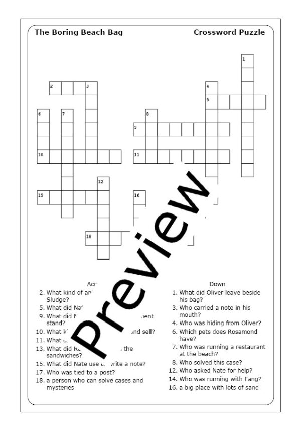 "Nate the Great and the Boring Beach Bag" worksheets | Made By Teachers