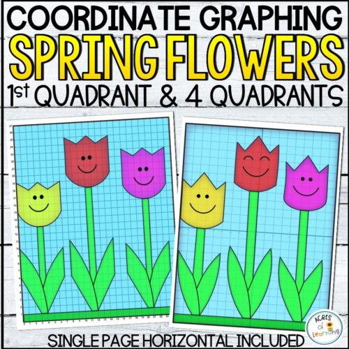 Spring Flowers First Quadrant Coordinate Plane Math Mystery Graphing ...