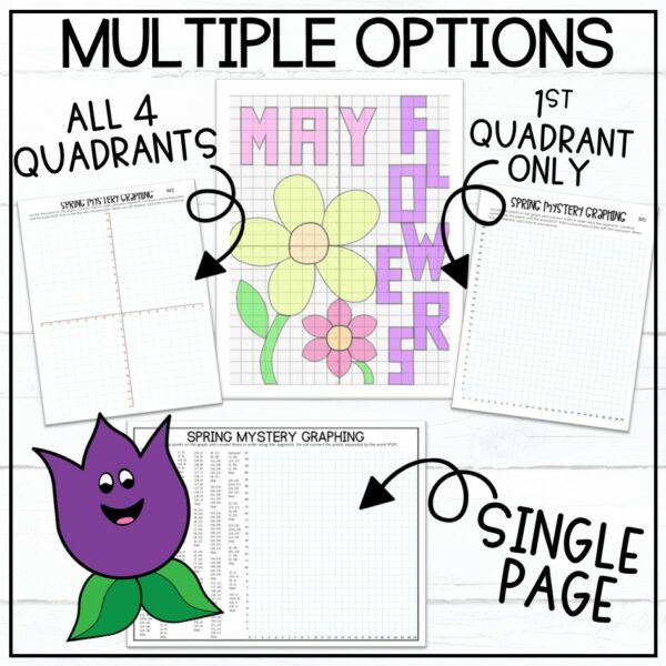 Spring Flowers Coordinate Graphing Mystery Picture | May Math Printable ...