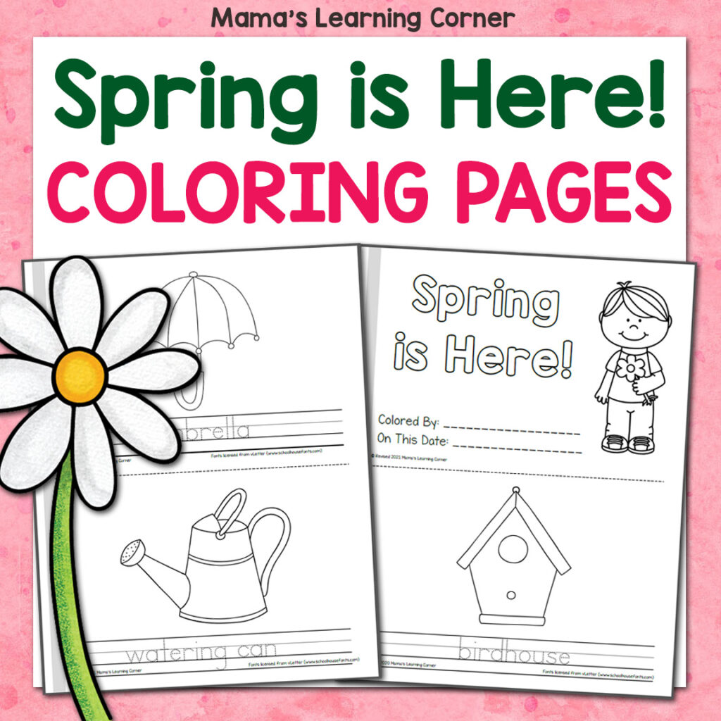 Spring Coloring Pages | Made By Teachers