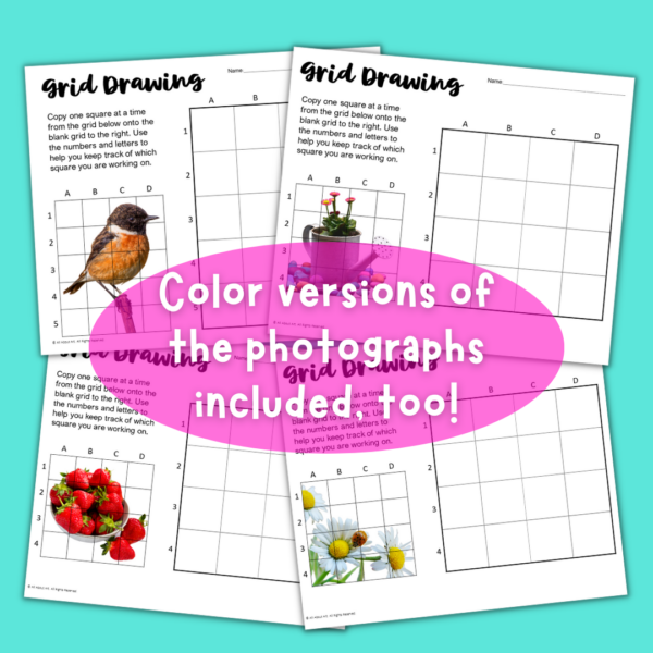 Spring Grid Drawing Worksheets - Flowers, Birds, Bugs Grid Method Art ...