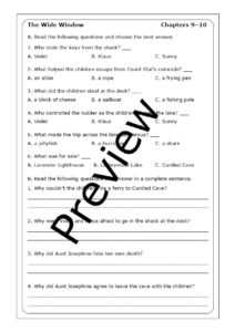 Lemony Snicket "The Wide Window" worksheets | Made By Teachers