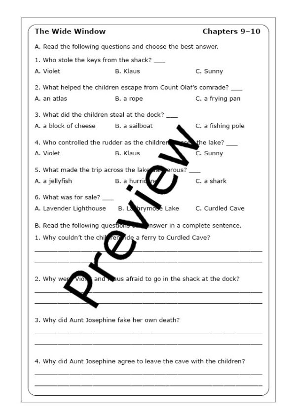 Lemony Snicket "The Wide Window" worksheets | Made By Teachers