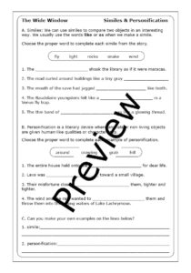Lemony Snicket "The Wide Window" worksheets | Made By Teachers