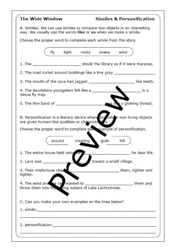 Lemony Snicket "The Wide Window" worksheets | Made By Teachers