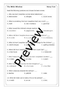 Lemony Snicket "The Wide Window" worksheets | Made By Teachers