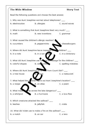 Lemony Snicket "The Wide Window" worksheets | Made By Teachers