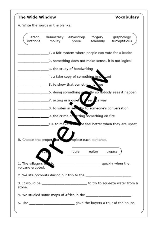 Lemony Snicket "The Wide Window" worksheets | Made By Teachers