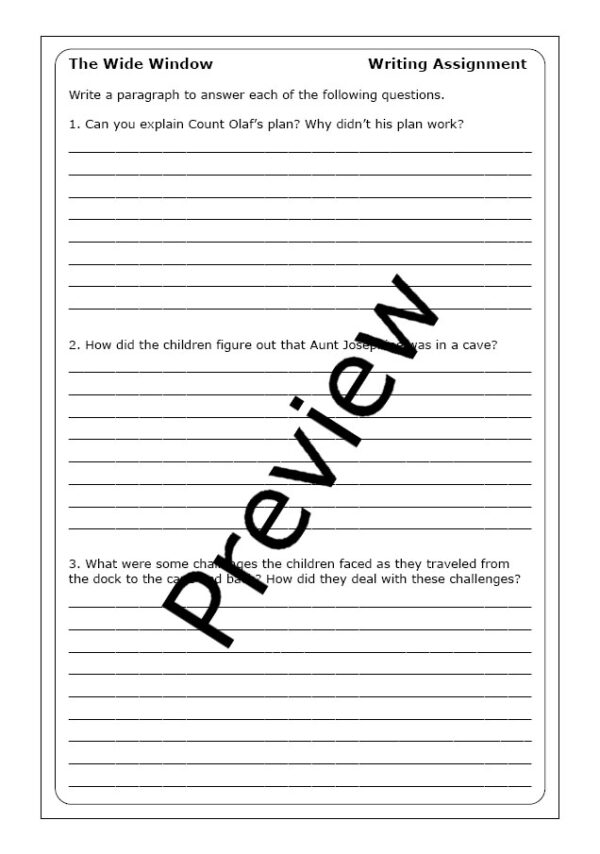 Lemony Snicket "The Wide Window" worksheets | Made By Teachers